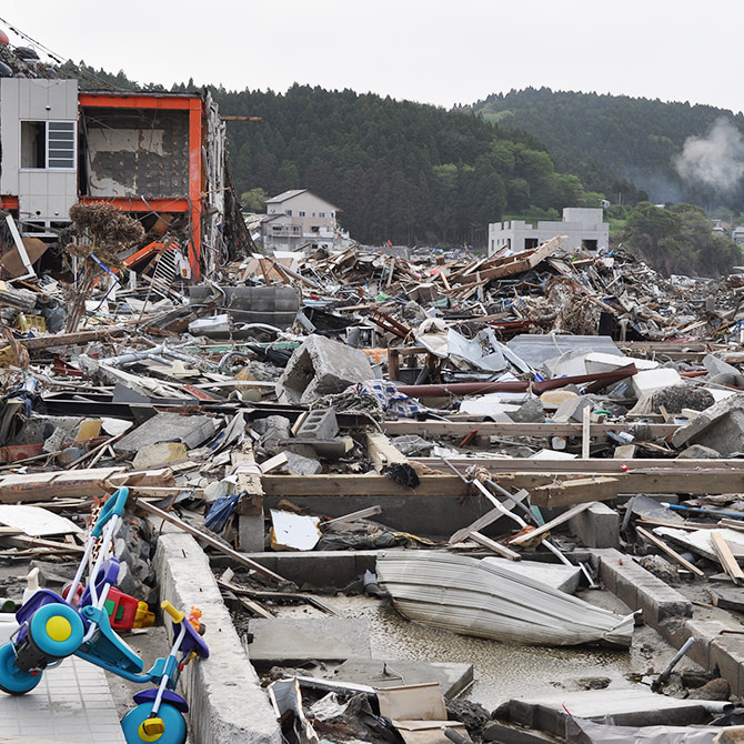 サスティナビリティ | Denis Japan 株式会社 | Denis Japan 株式会社