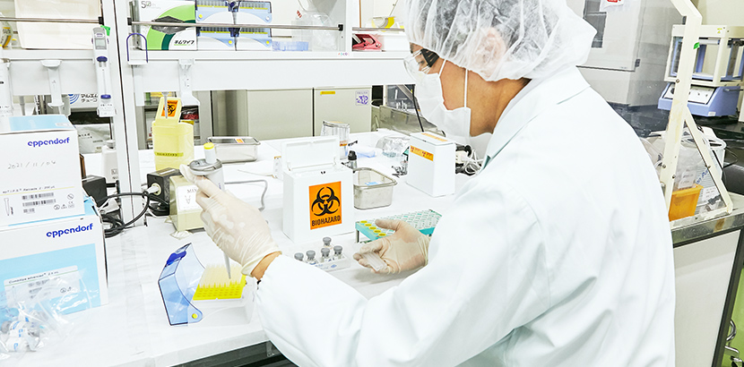 I.Tさんへの社員インタビュー | Denis Japan 株式会社 | Denis Japan 株式会社