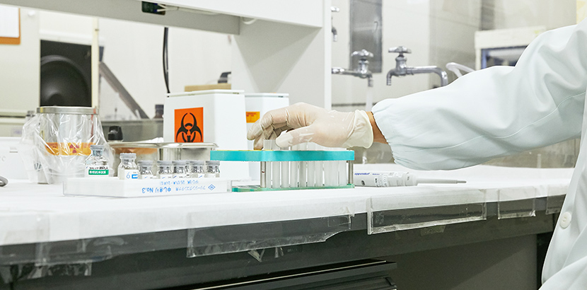 I.Tさんへの社員インタビュー | Denis Japan 株式会社 | Denis Japan 株式会社